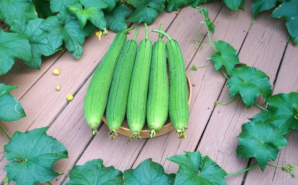 7 Hidden Health Benefits Why Ridge Gourd is Perfect for Summer? You ...